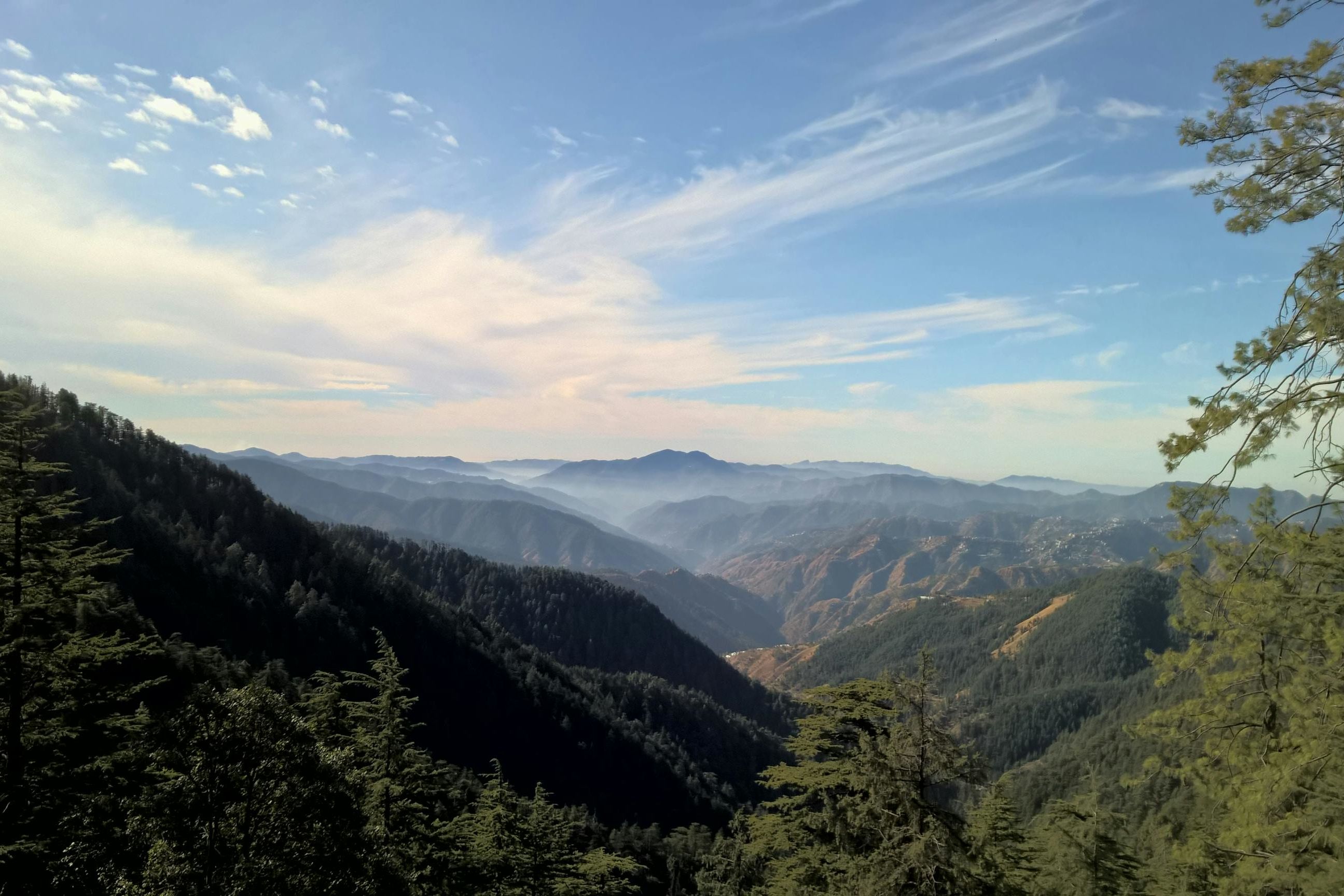 Best Time to Visit Shimla for Snowfall - Plan Your Trip