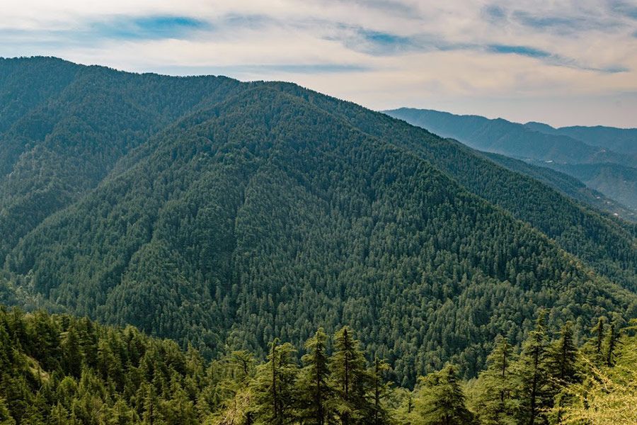 Top 10 Must Visit Places in Kufri | TripStorz