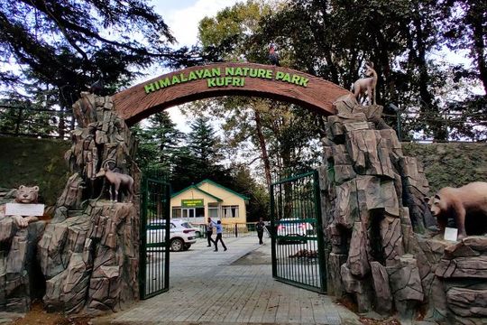 Mahasu Peak Kufri: Best Time, How to reach, Timings, Trek, Tips