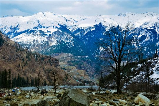 Top 10 Must Visit Places in Kufri | TripStorz