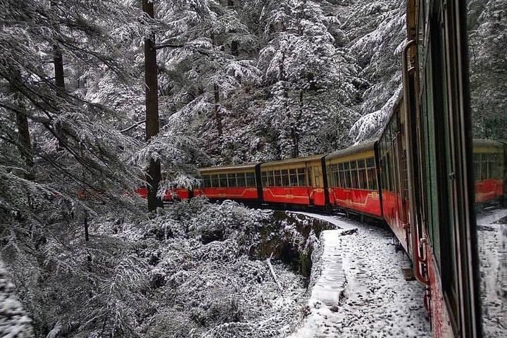 Best Time to Visit Shimla for Snowfall - Plan Your Trip